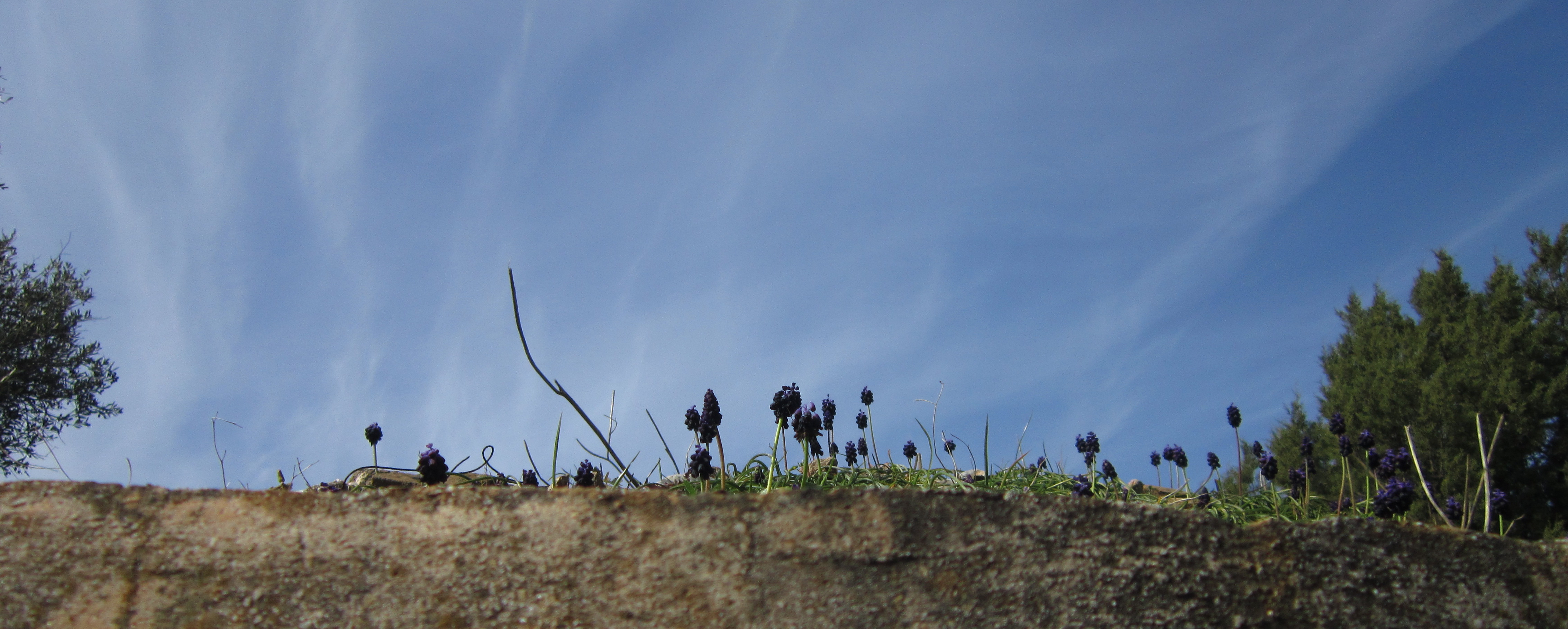 Twig, Bone, Feather – Prose, Poetry & Inspiration